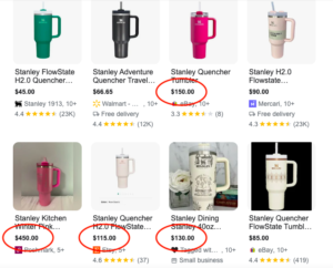 Why Are Stanley Water Bottles So Popular? - Twice the Ice